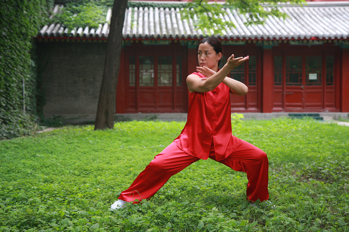 Stage de Tai Chi Style Chen – La grue blanche